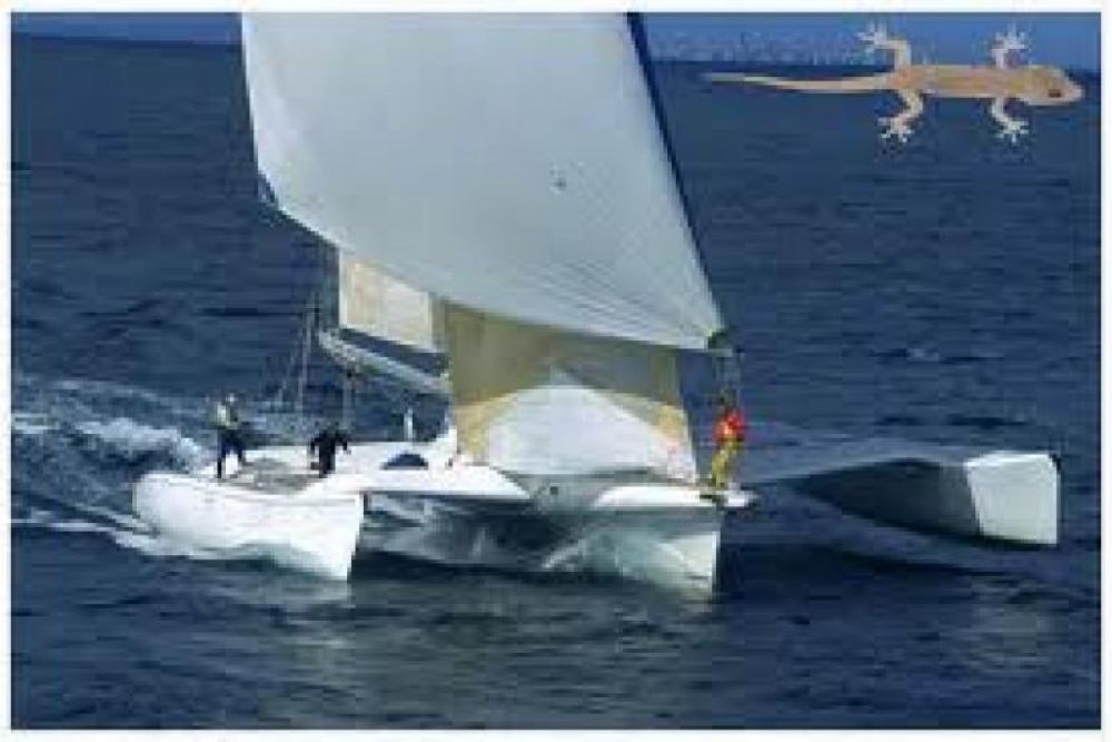 2 Day 2 Night Whitsundays Sailing - Avatar