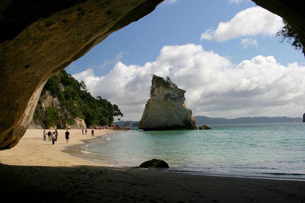 North Island Highlights Package